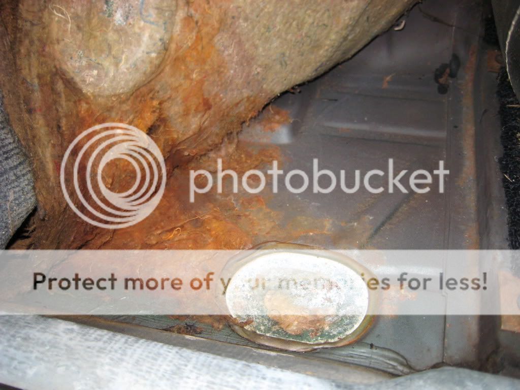 69 SSRS X11/D80 with Factory Cowl | Team Camaro Tech